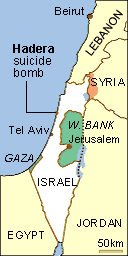 Sharon calls for ceasefire after suicide bomb | Israel | The Guardian