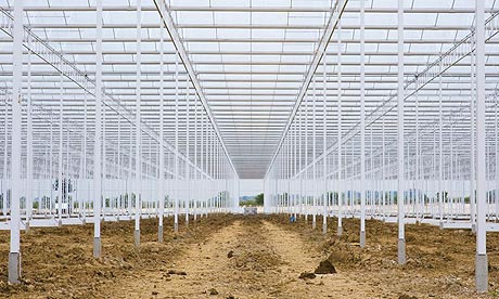 Welcome to Thanet Earth: is this a taste of future for UK agriculture ...